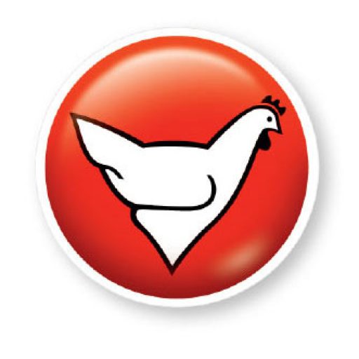 RAINBOW Chicken Sitemap